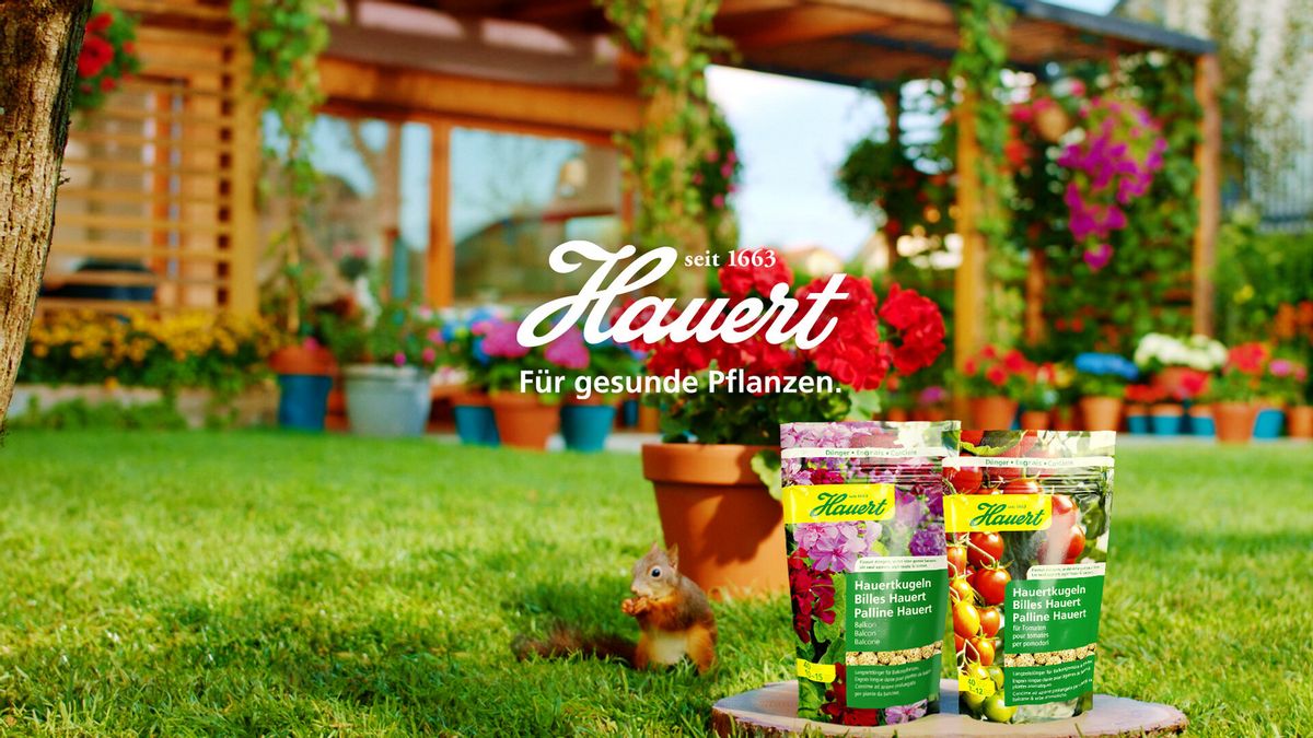 Billes Hauert – l’alimentation de vos plantes pour toute la saison | HAUERT